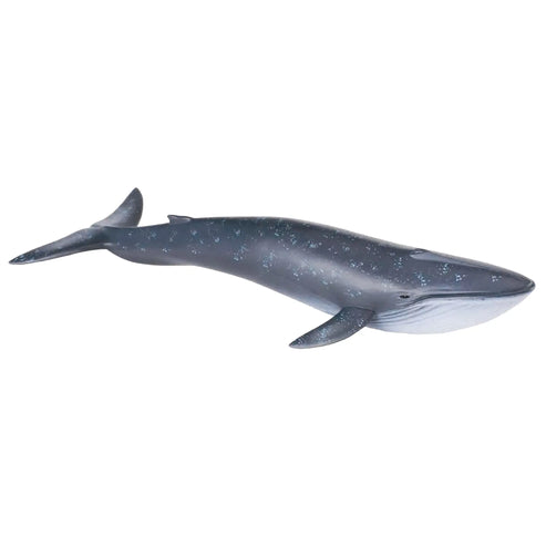 CollectA Blue Whale – Franklin Hobbies Ltd