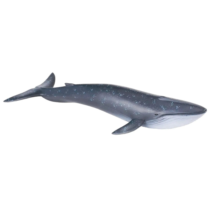 CollectA Blue Whale – Franklin Hobbies Ltd
